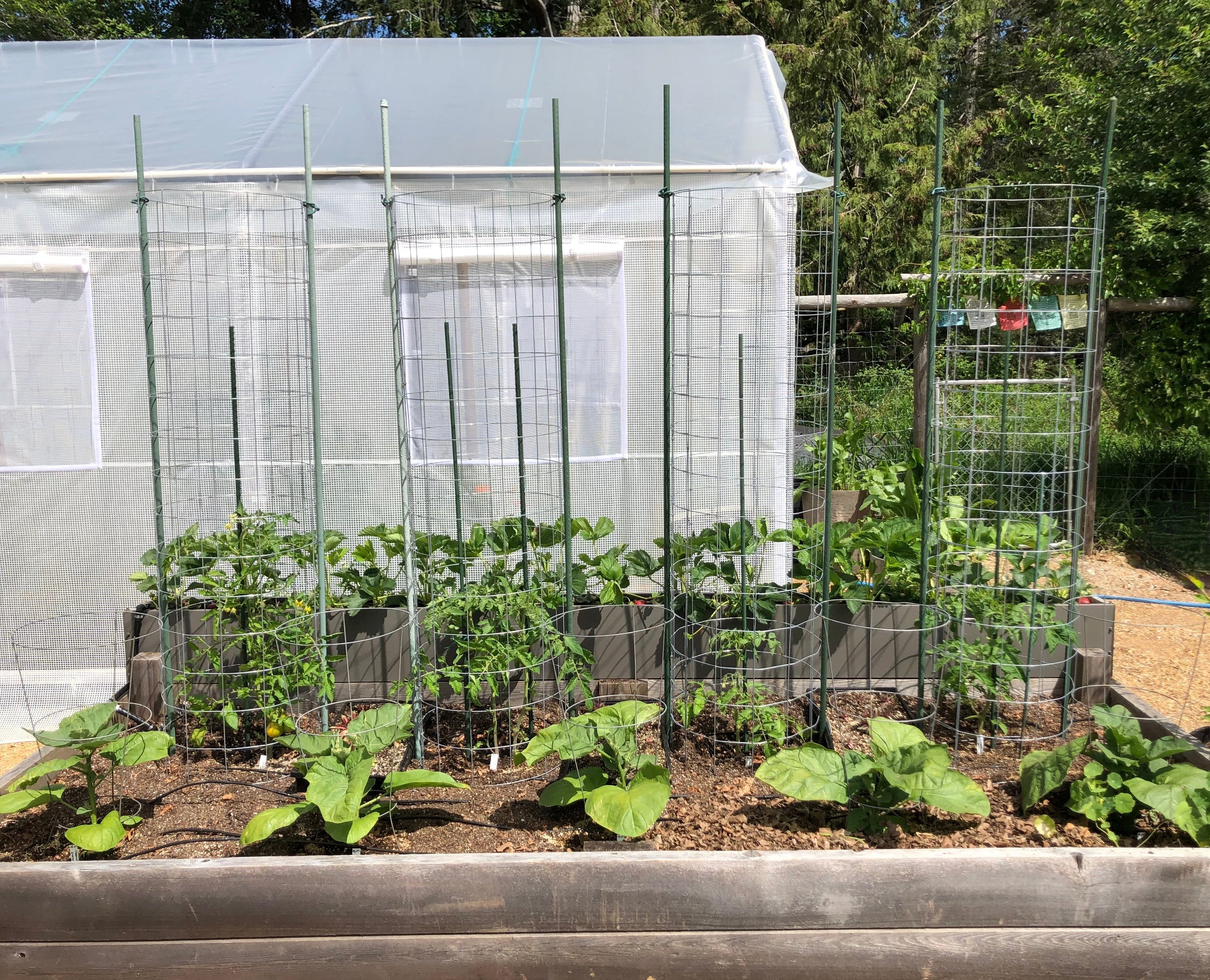 Our Favourite Garden Trellis Idea – West Coast Plants